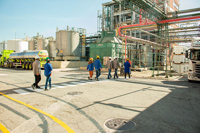 BASF conclui projeto de aterro zero em sua unidade produtiva de