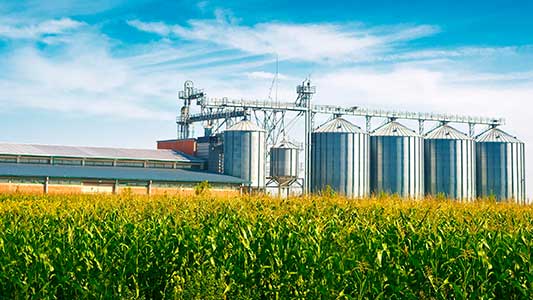 Procer Agrointeligência de Pós-Colheita atinge marca de 5 mil silos