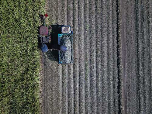 Grunner apresenta solução para o pisoteio em canaviais