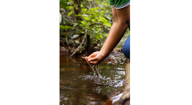 Fundação Norberto Odebrecht contribui para a recuperação de